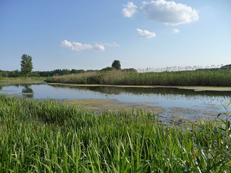 Rivers and their floodplains | WISE Freshwater