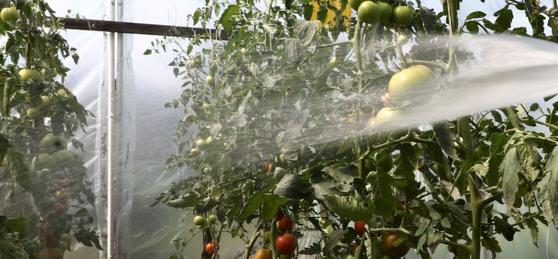 Water reuse | Europe’s Freshwater WISE Freshwater